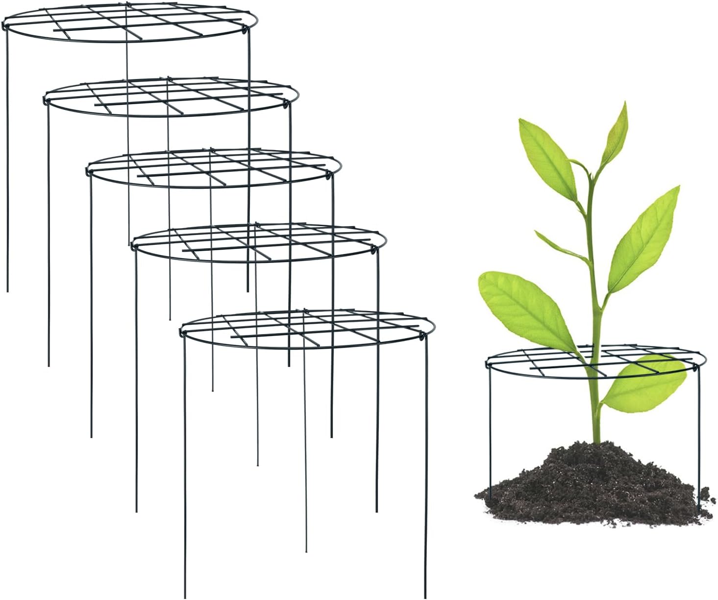 Amazon.com : 16 x 24 Inch Plant Support, Pack of 5 Peony Cages Support ...