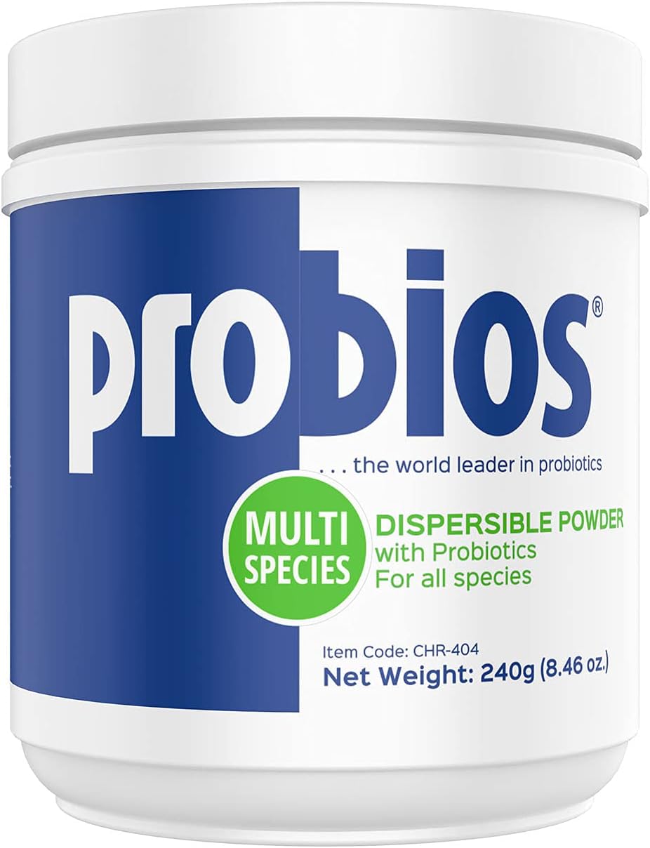 Vet Plus Probios Dispersible Digestive Powder, 240gm : VETS PLUS ...