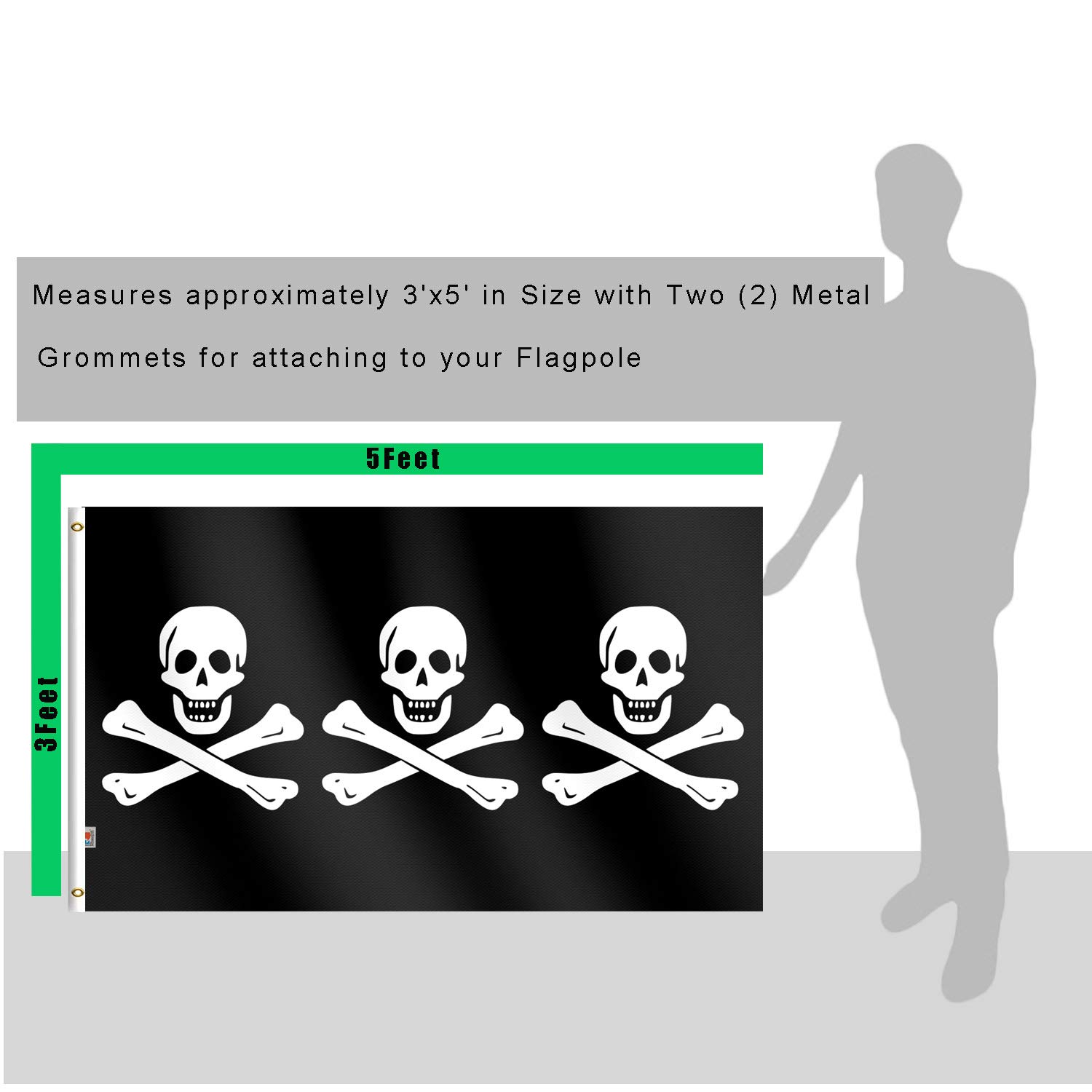 Christopher England Pirate Flag