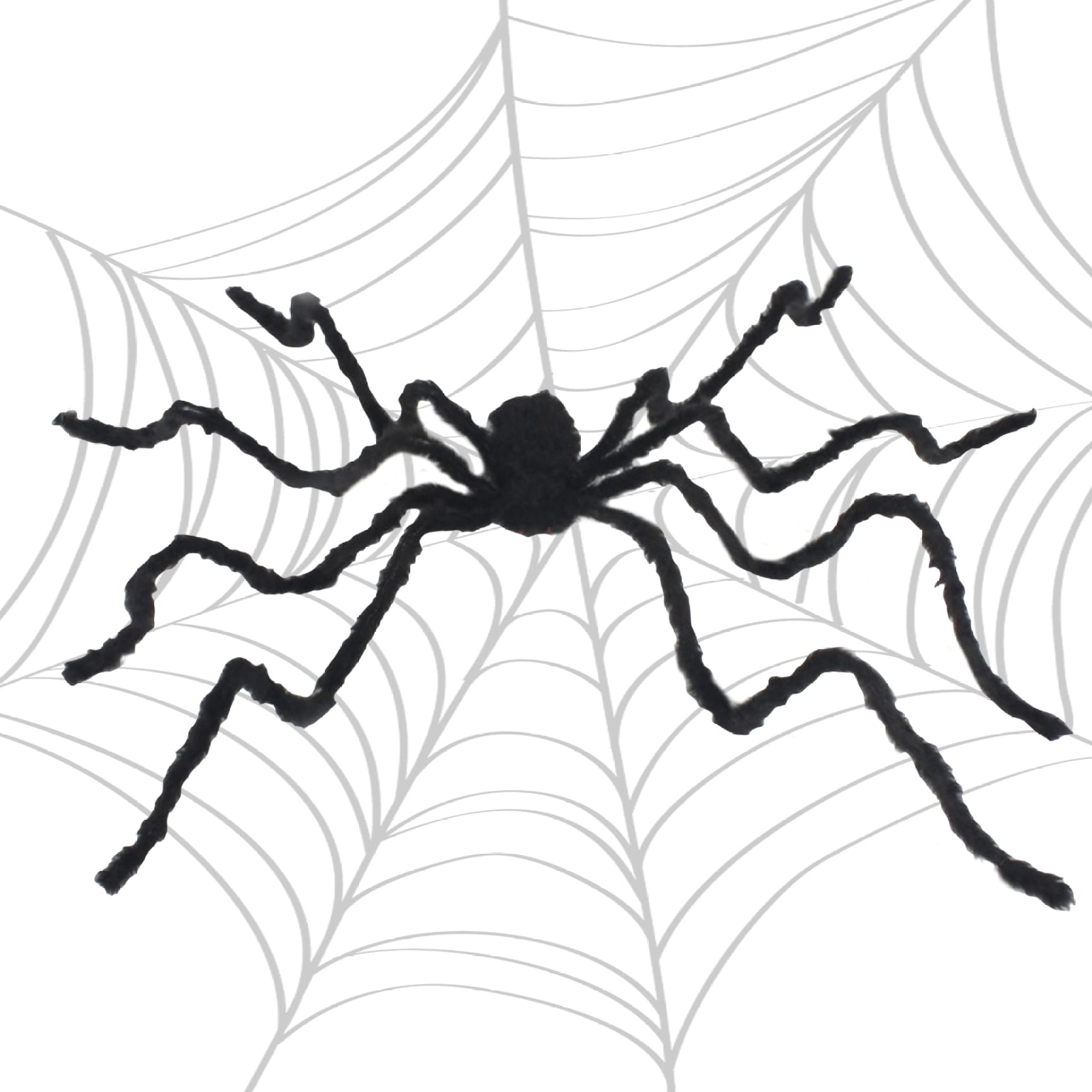 Realistische Spinnenweb Tekening Spin En Spinnenweb. Inkt Zwart Wit
