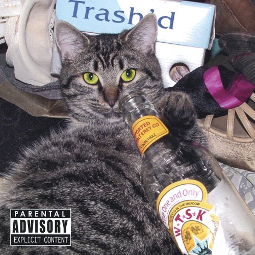 Amazon.co.jp: Trash'd : Wtsk: デジタルミュージック