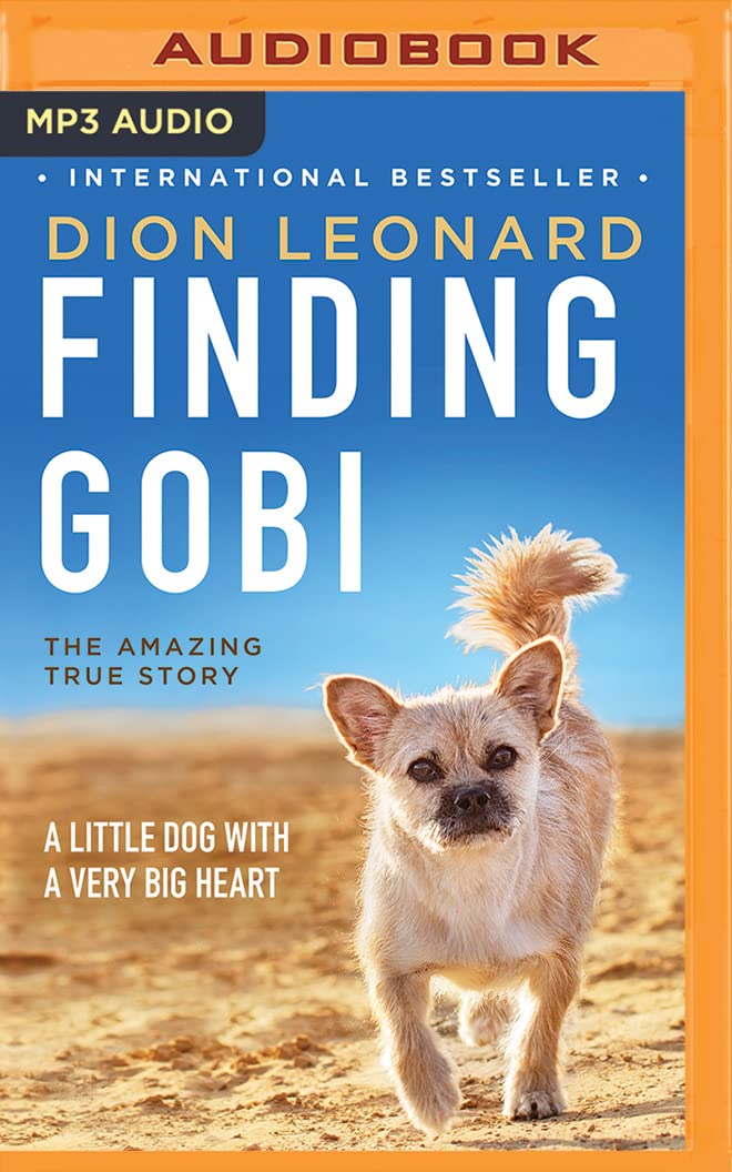 Amazon.com: Finding Gobi: 9781536693294: Dion Leonard, Simon Bubb: Books