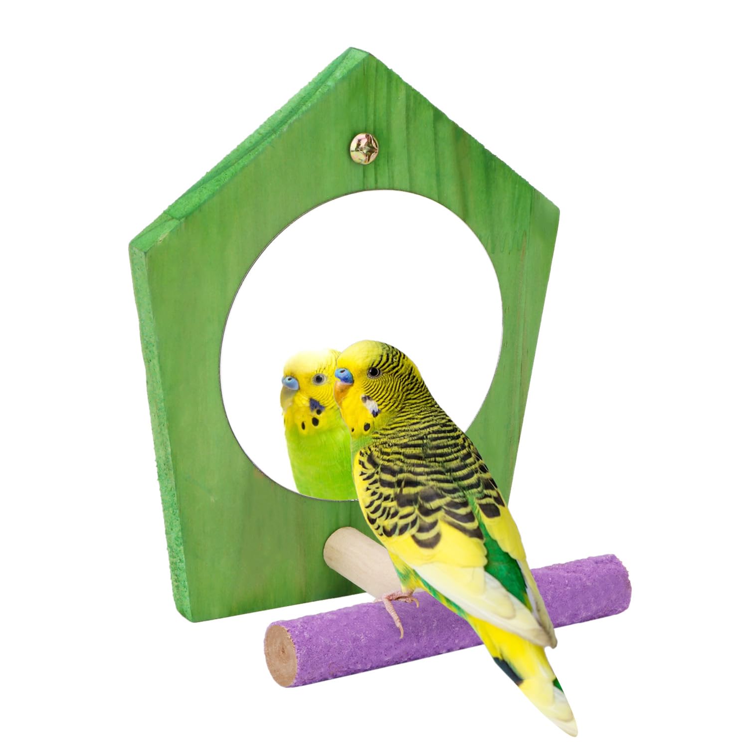 Amazon.com : Bird Parrot Mirror Toy with Perch Parrot Parakeet Budgies ...