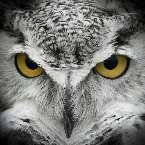 Amazon.com: Ambient World, New Age Spirit : David Antony Clark: Digital ...