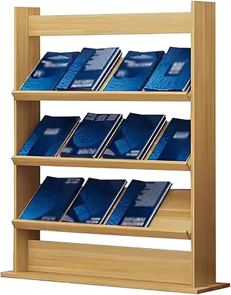 Amazon.com: ELUKHT Large Capacity Brochure Display Holder Magazine ...