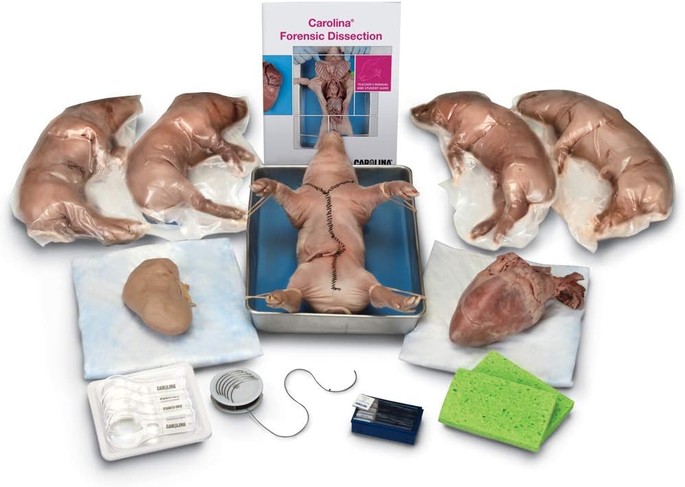 Amazon.com: Carolina Forensic Dissection Kit For A Class Of 32 : Toys ...