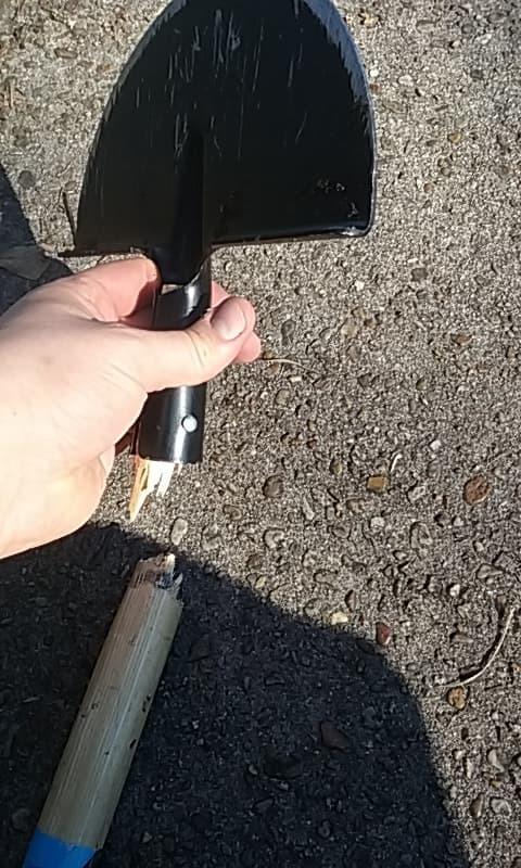 Amazon.com : Ames True Temper TEGT Green Thumb Handle Basic Turf Edger ...