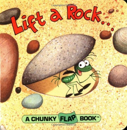 Lift a Rock, Find a Bug (A Chunky Book(R)) [Board book] - Livros na ...
