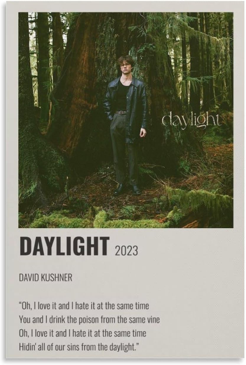 Amazon.com: DAGUYS Pop Music Singer David Kushner， Daylight Single ...