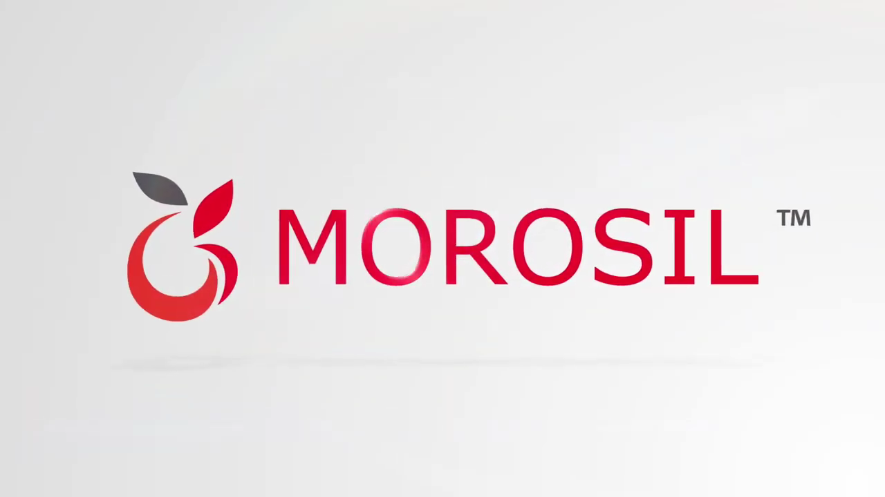 Watch The Quality and Sourcing of Morosil on Amazon Live