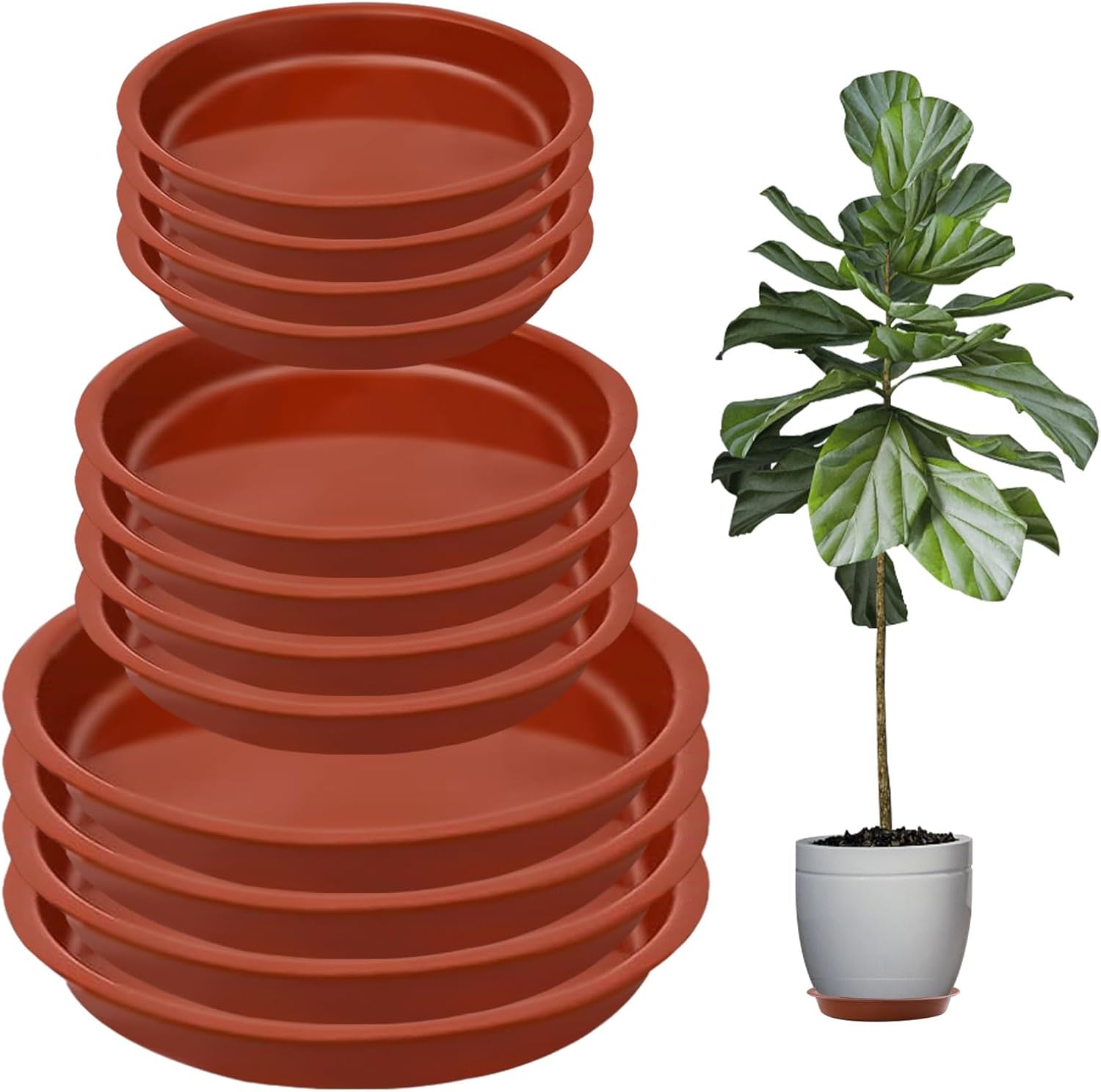 Nuqin Plant Pot Saucers - 12 Pack Plant Saucers,Durable Plastic Plant ...