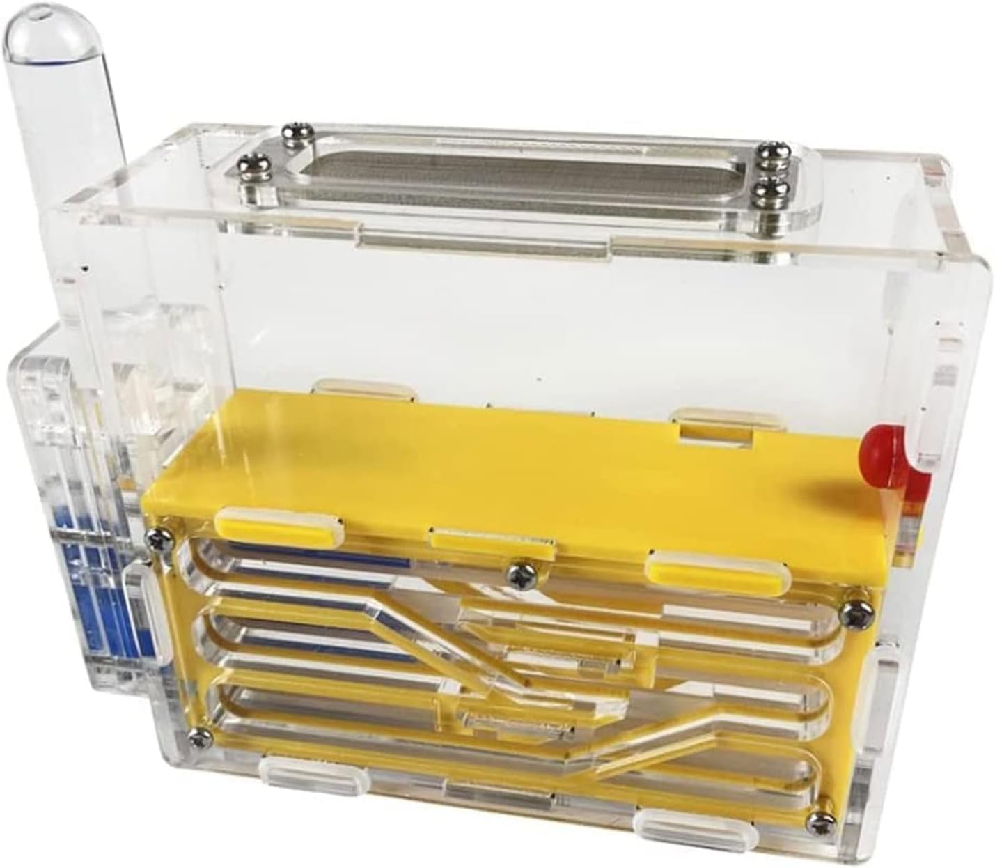 Amazon.com: DESONIX Acrylic Ant Castle Ant Breeding Box Ant Colony ...