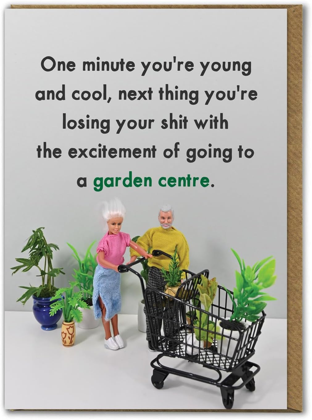 Bold & Bright - Funny Birthday Card - 'My Dream?' - Hilariously Funny ...