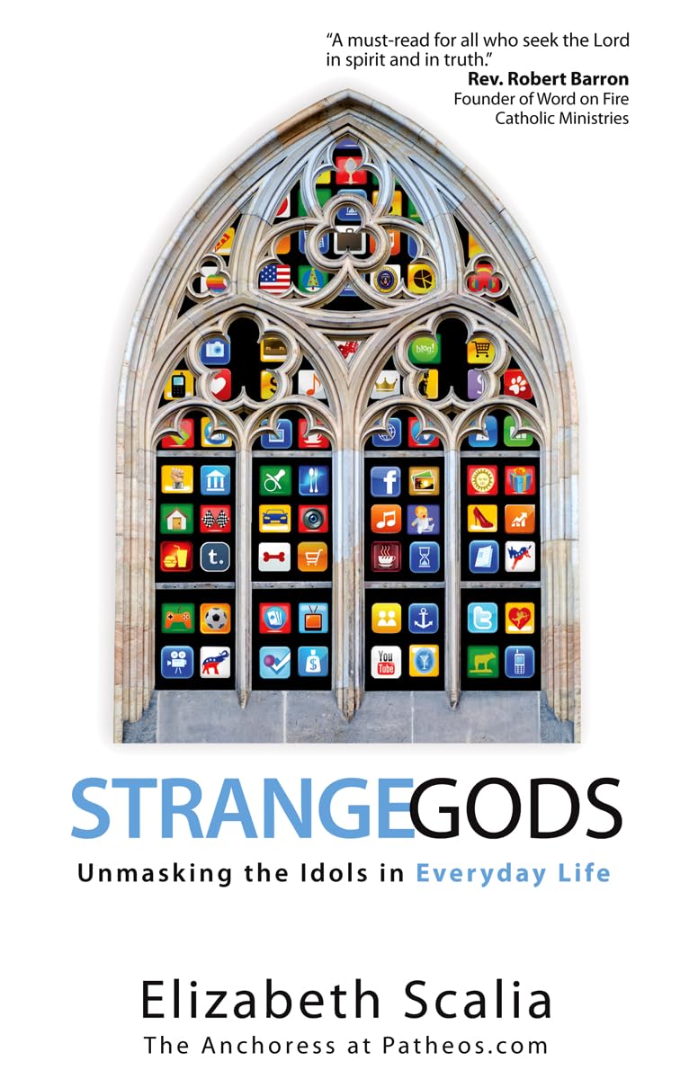 Strange Gods: Unmasking the Idols in Everyday Life: Scalia, Elizabeth ...
