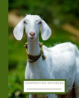 Goat Horns: The Science Behind Their Strength | PetShun