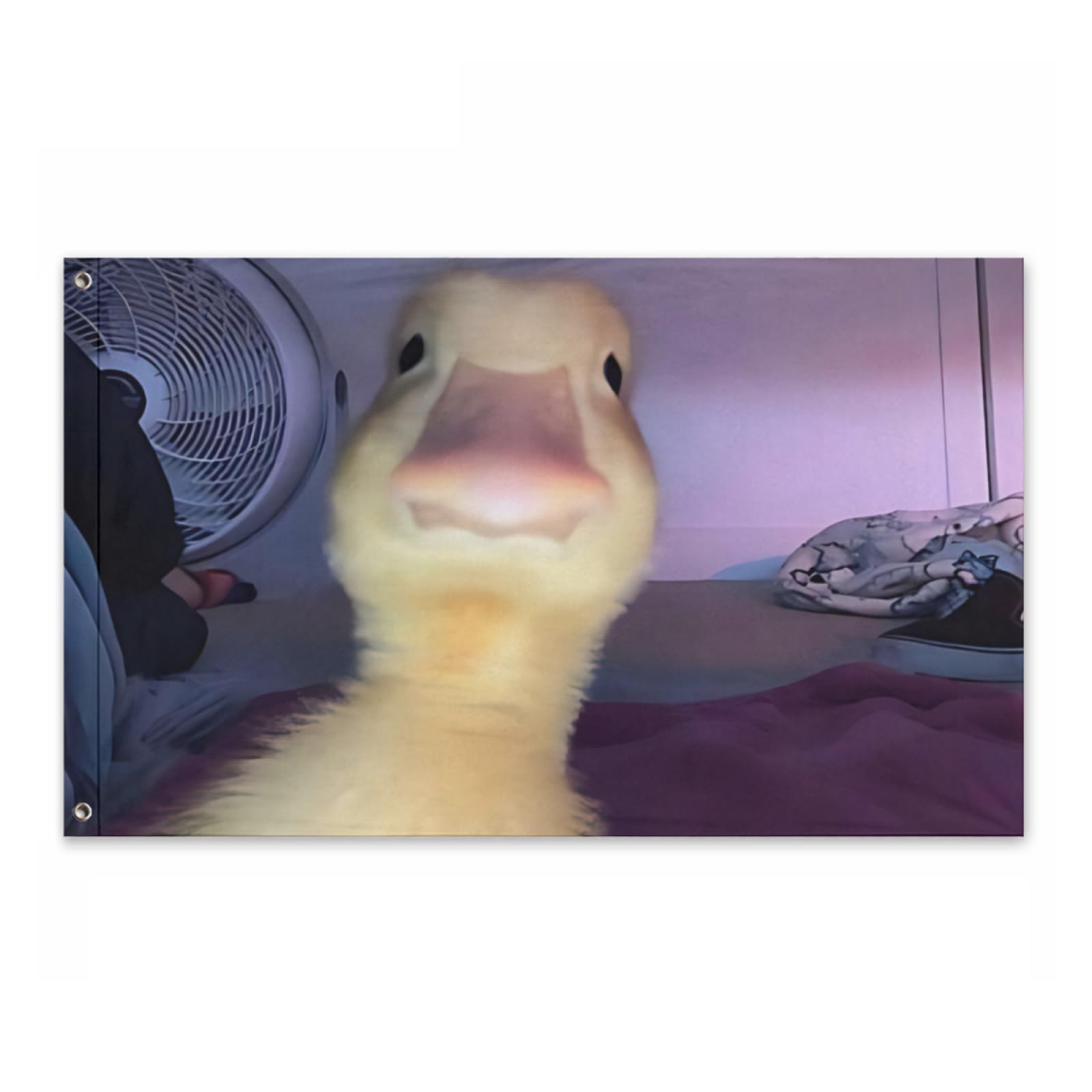 Meme De Dibujos Animados Con Cara De Pato Imagen Gratis: Famoso