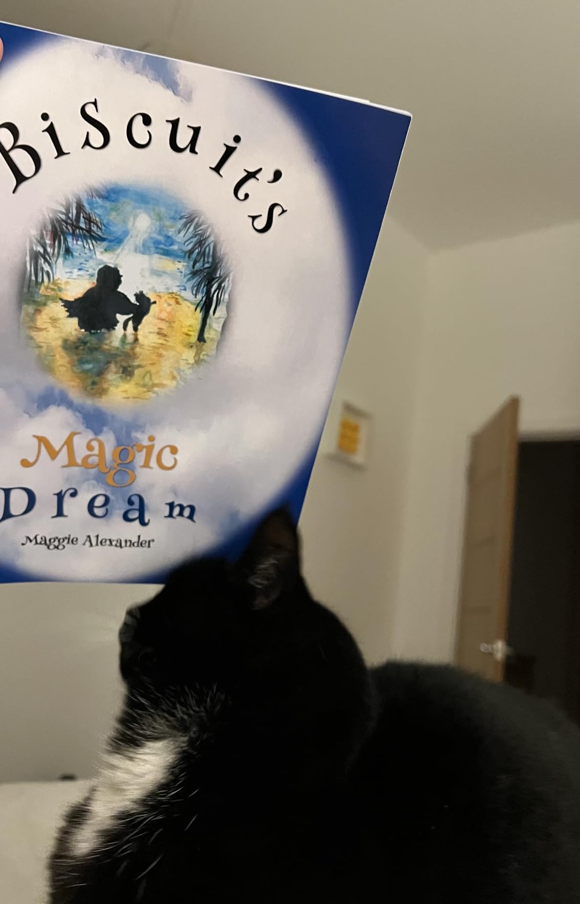 Biscuit's Magic Dream! (Olive and Biscuit): Amazon.co.uk: Alexander ...