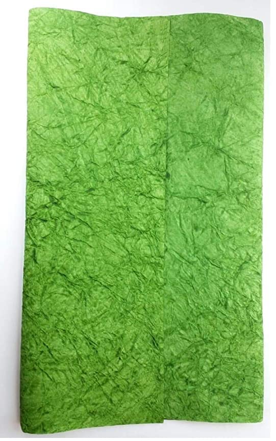 FIRST CLICK Handmade Paper Green Crushed Colored Sheets Chart Papers ...