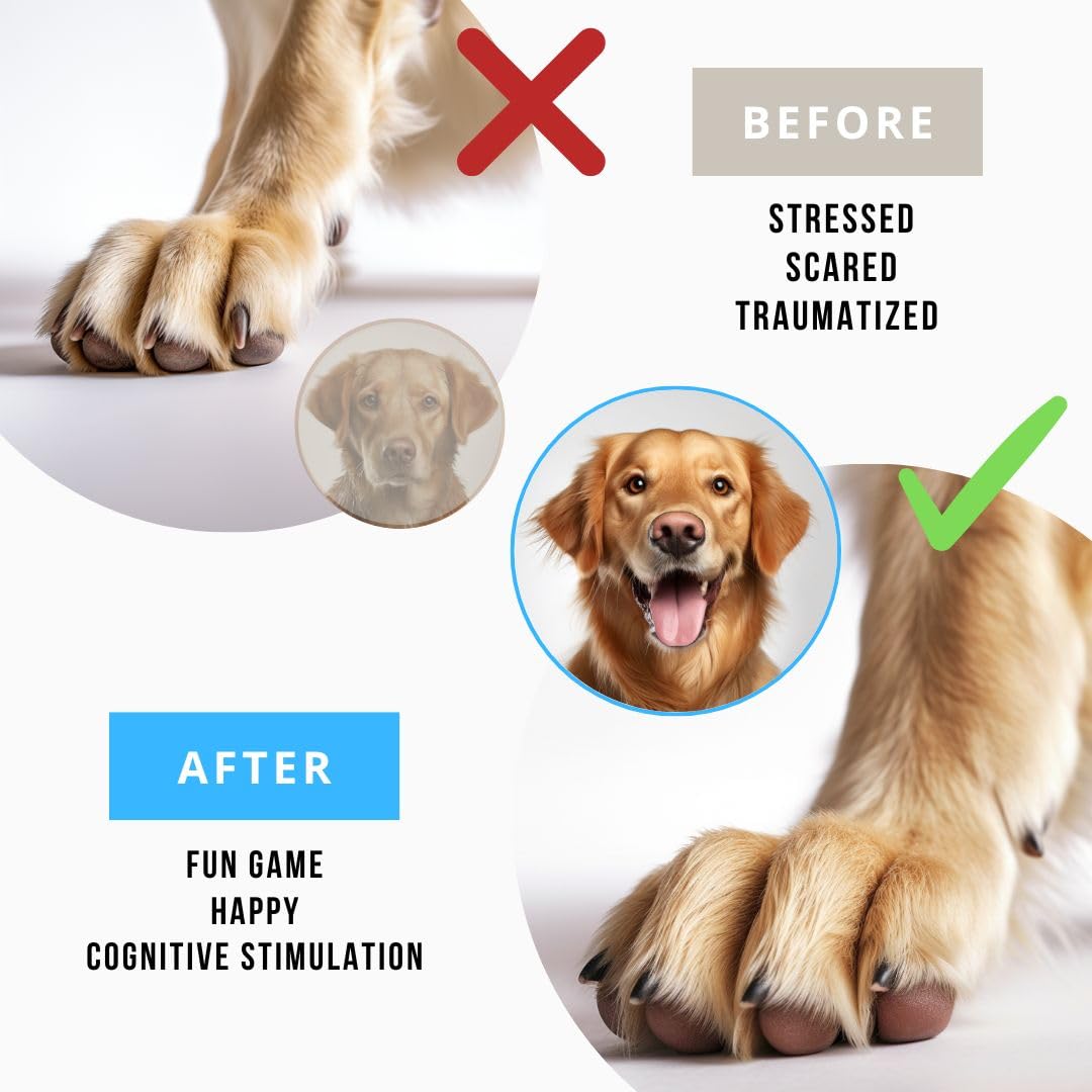 Do Dogs Scratch When Stressed