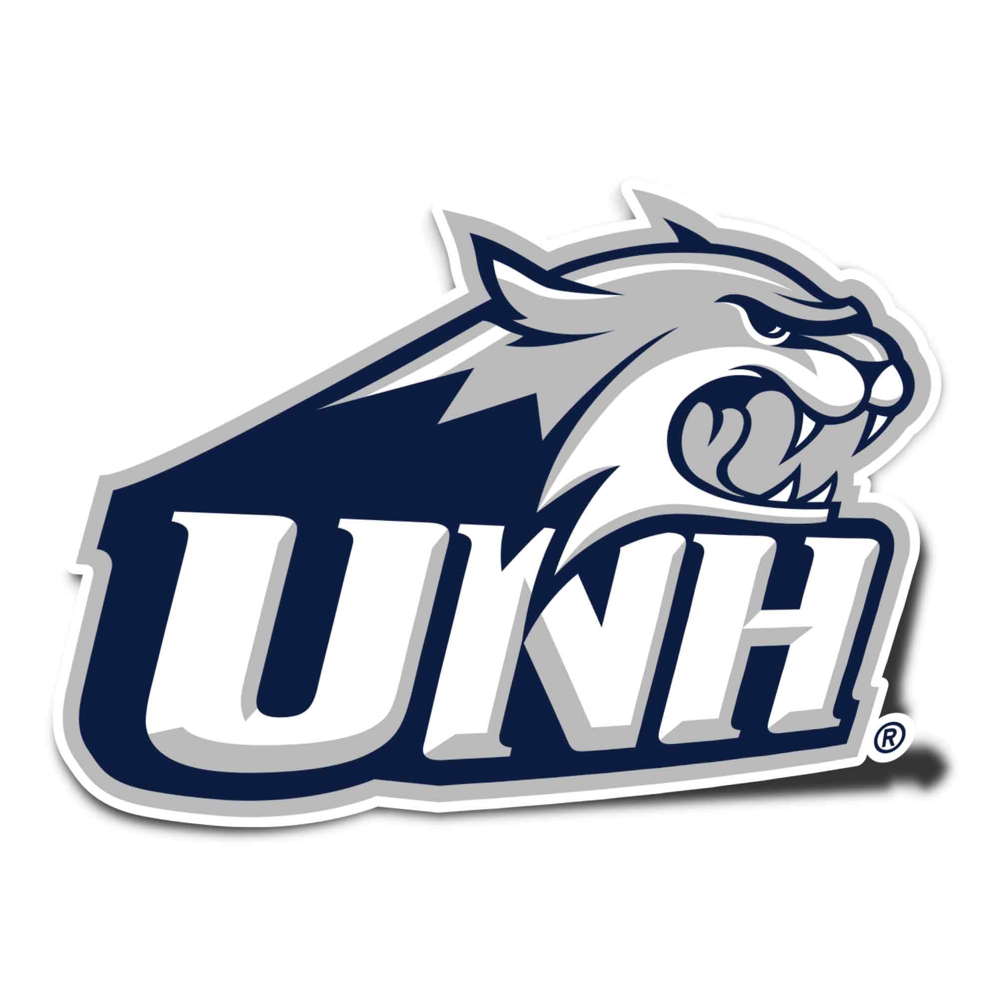 Amazon.com: Desert Cactus University of New Hampshire UNH Wildcats ...