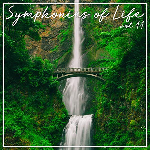 Symphonies of Life, Vol. 44 - Brahms: 41 Lieder by Mitsuko Shirai ...
