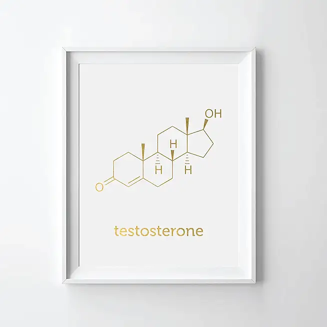 The Fascinating Impact Of Testosterone's Structure On Its Function ...