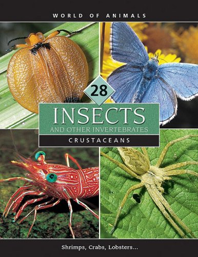 Insects and Other Invertebrates: 9780717258949: Amazon.com: Books