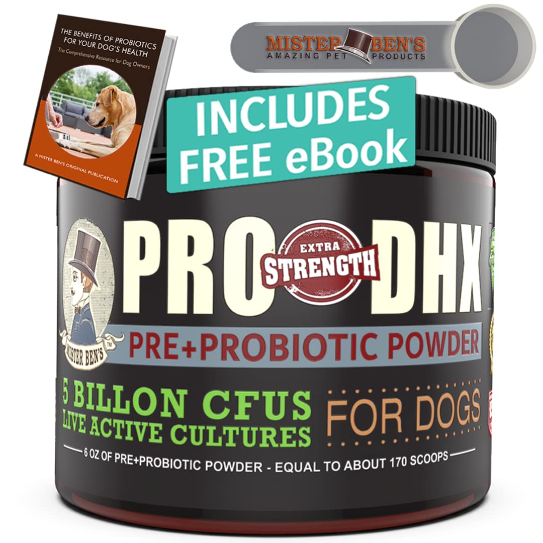 Mister Bens Amazing Pro Dx Pre Probiotic Powder Suppliment Dogs | Desertcart INDIA