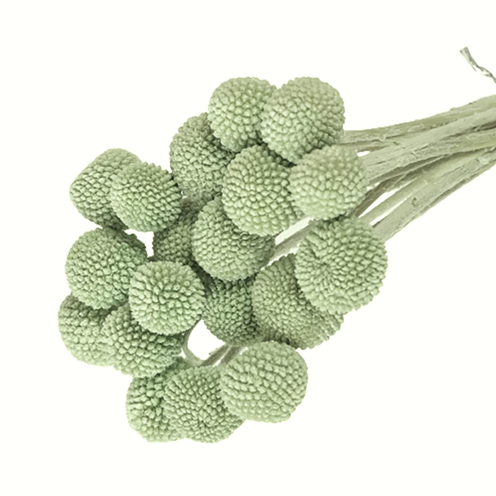 Green Billy Balls