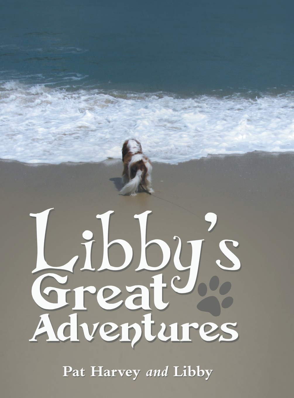 Libby’s Great Adventures: Harvey, Pat, Libby: 9781480886759: Amazon.com ...