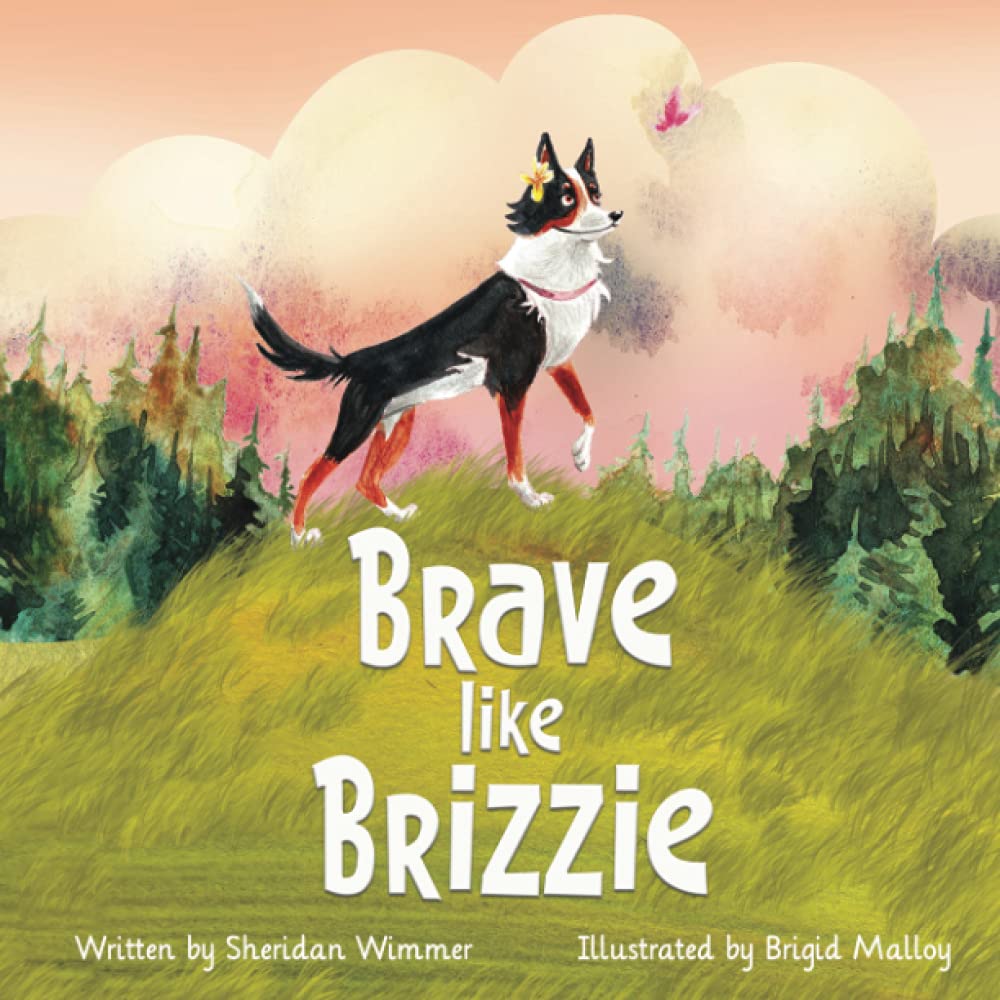 Brave Like Brizzie: Wimmer, Sheridan, Malloy, Brigid: 9780578853574 ...
