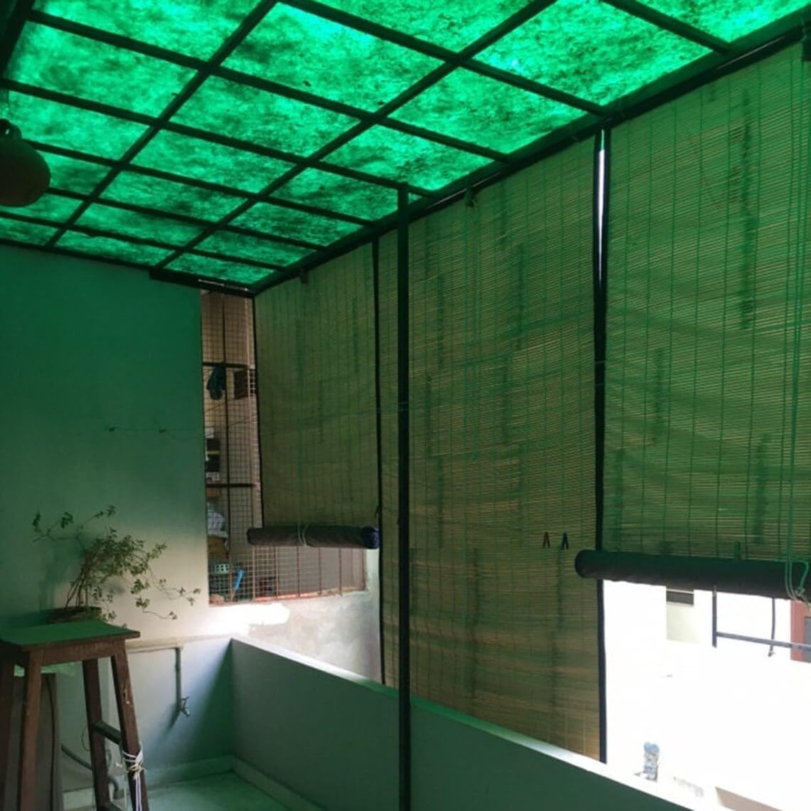 Dhori Bamboo Roll-up Blind Joint Shade Chick Window Closer/Curtains for ...