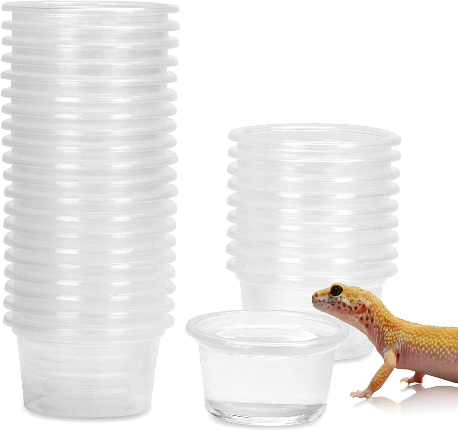 DERNORD Gecko Feeding Ledge Plastic Bowl - 5x3CM 30PCS Reptile Water ...