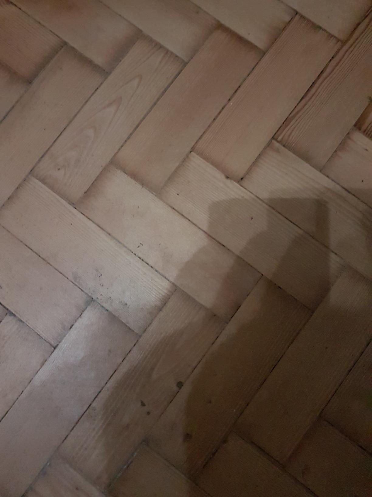 Lecol 7500 800g Wooden Flooring Gap/Joint Filler For New & Reclaimed ...