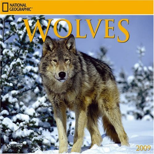 National Geographic: Wolves: 1 : Wall: Amazon.in: Books