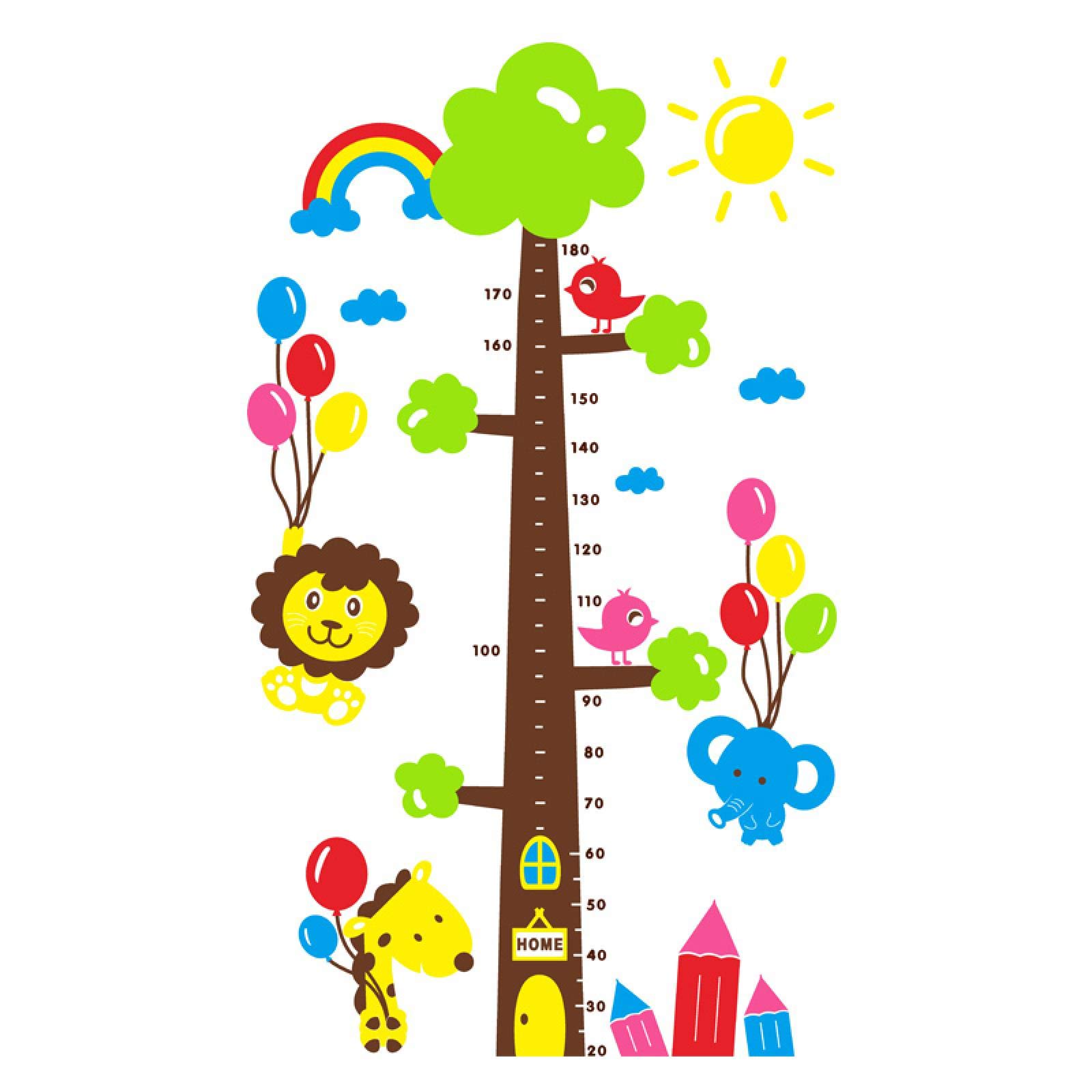 Buy Child,Height Measurement Chart,Wall Ruler Diagram,Rollable,Growth ...