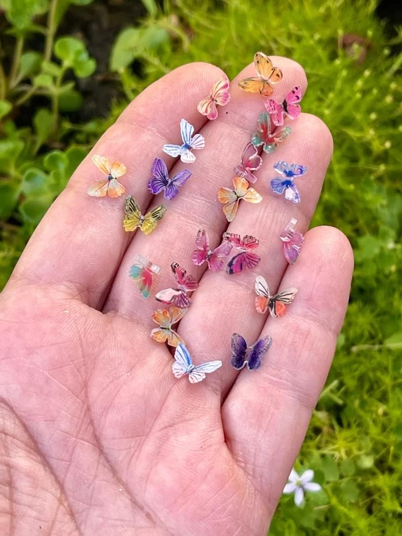 Amazon.com : Butterfly Cute, Micro Miniature Butterflies, Tiny 8mm ...