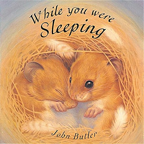 Buy While You Were Sleeping Book Online at Low Prices in India | While ...