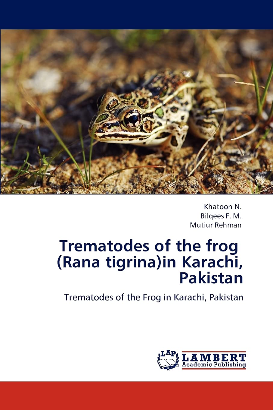 Buy Trematodes of the frog (Rana tigrina)in Karachi, Pakistan ...