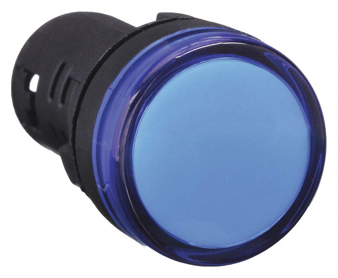 Dayton Raised Indicator Light, LED Lamp Type, 120VAC Voltage, 22mm ...