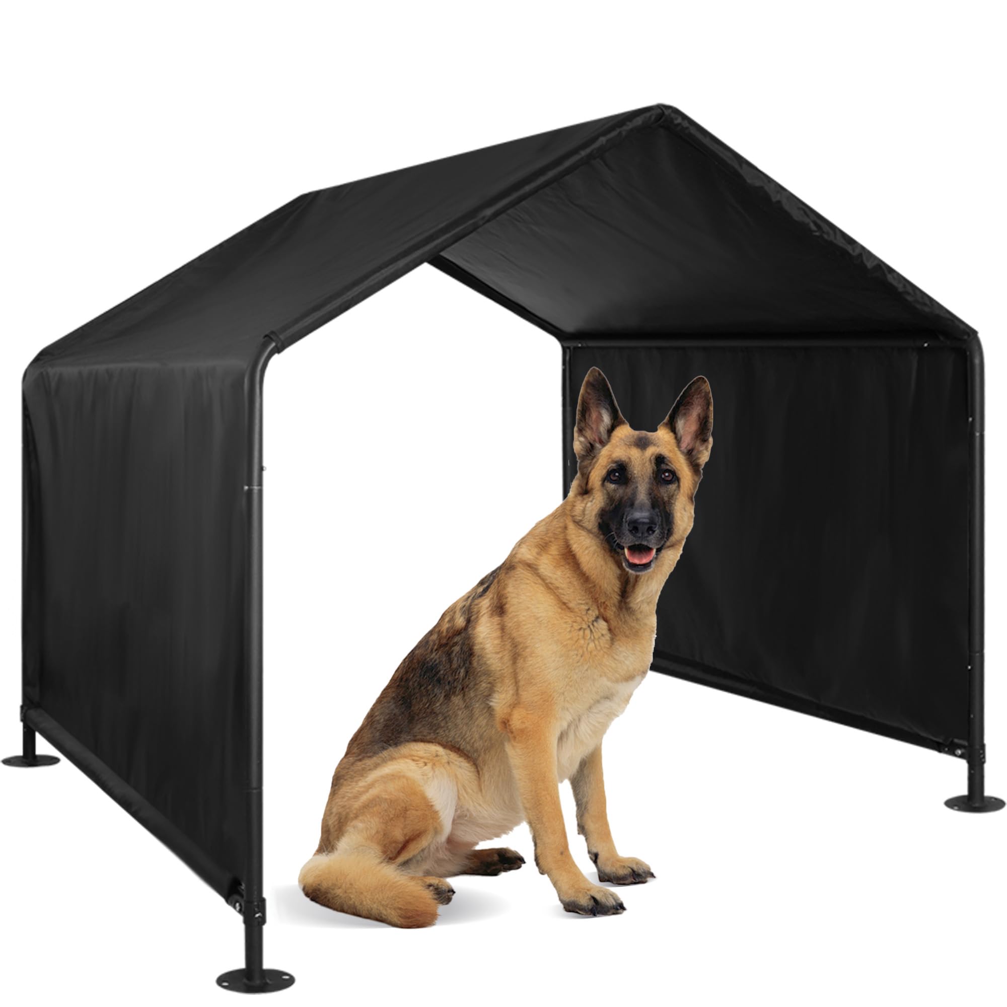 Son Buenos Refugios Para Perros