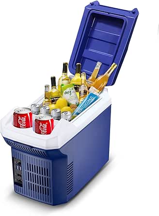 Car Refrigerator,Portable Mini Car Fridge with 12V DC & 120-240V AC ...