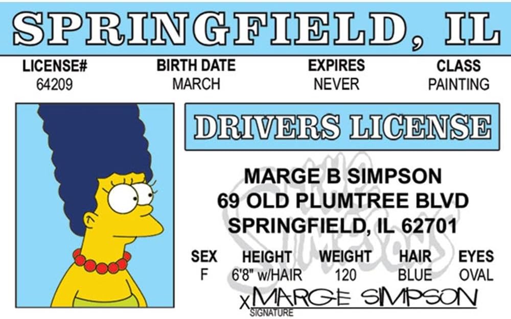 Amazon.com: Signs 4 Fun Parody Driver’s License | Marge ID | Fake ID ...