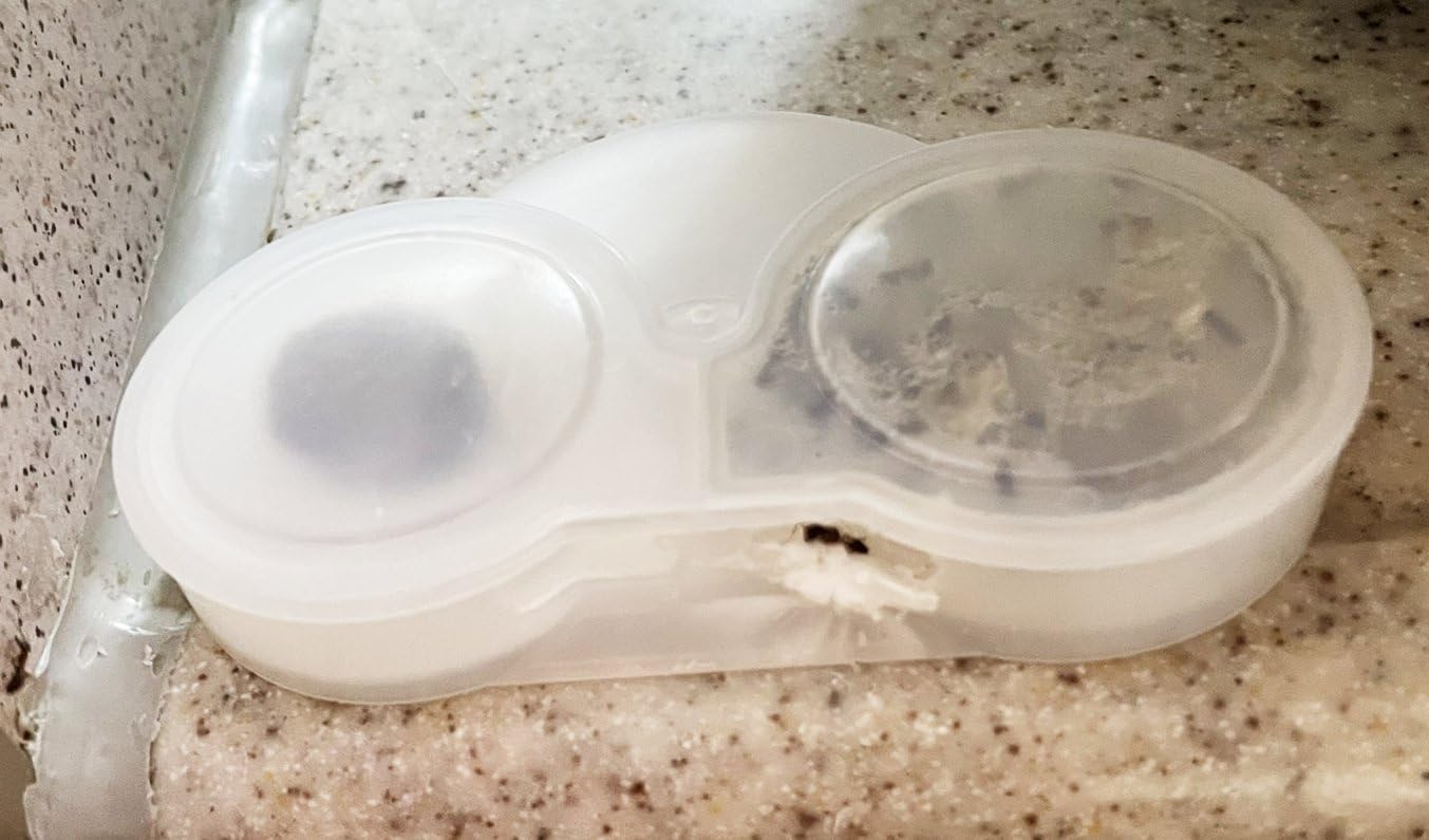 Amazon.co.jp: KINCHO コンバット 蟻用 2way 駆除剤 4個入 アリの巣 退治 殺虫剤 室内 アリ退治 : DIY・工具・ガーデン