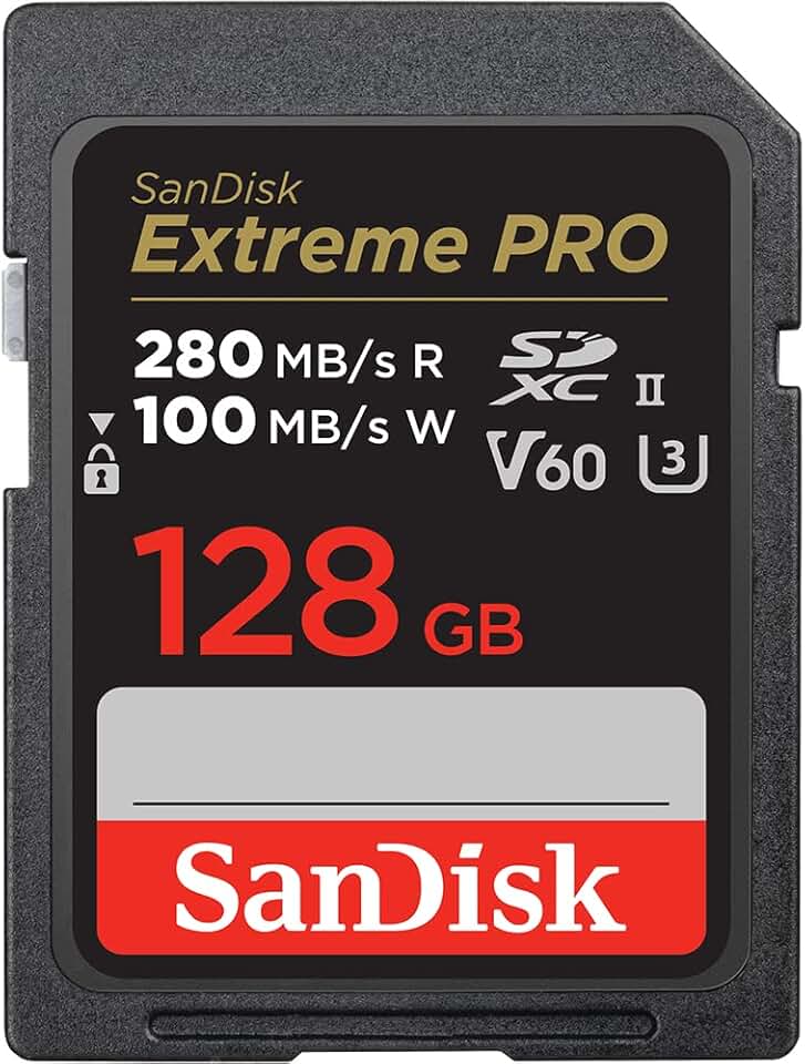 Amazon.com.au: SD Cards - SD Cards / Memory Cards: Computers
