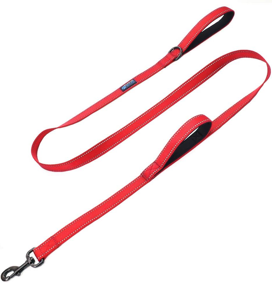 Amazon.com : Joytale Dog Leash Heavy Duty for Large Dogs That Pull ...