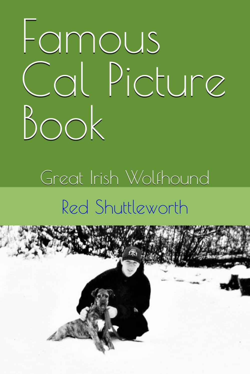 Amazon.com: Famous Cal Picture Book: Great Irish Wolfhound ...