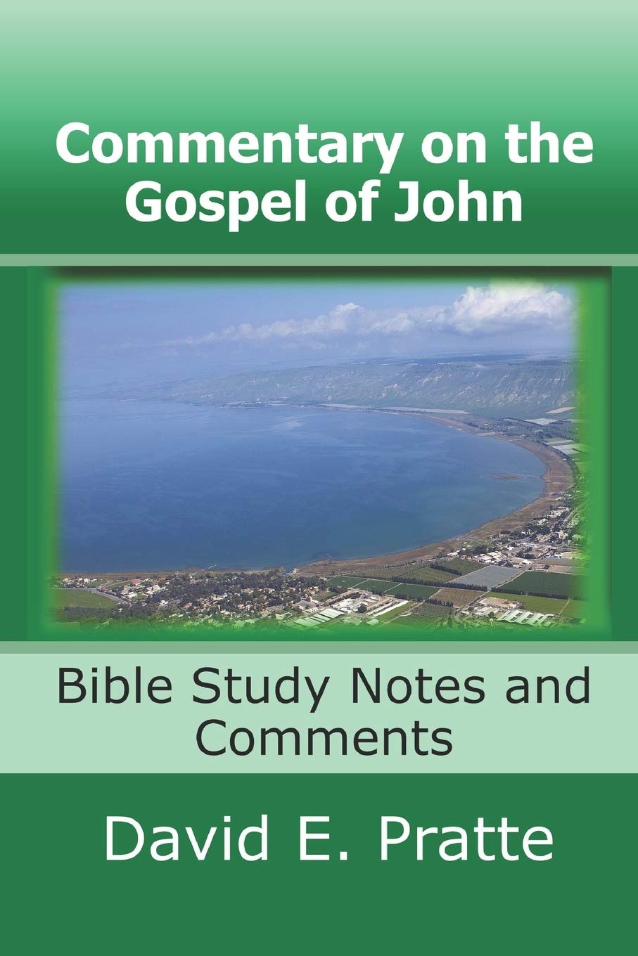 Commentary on the Gospel of John: Bible Study Notes and Comments ...