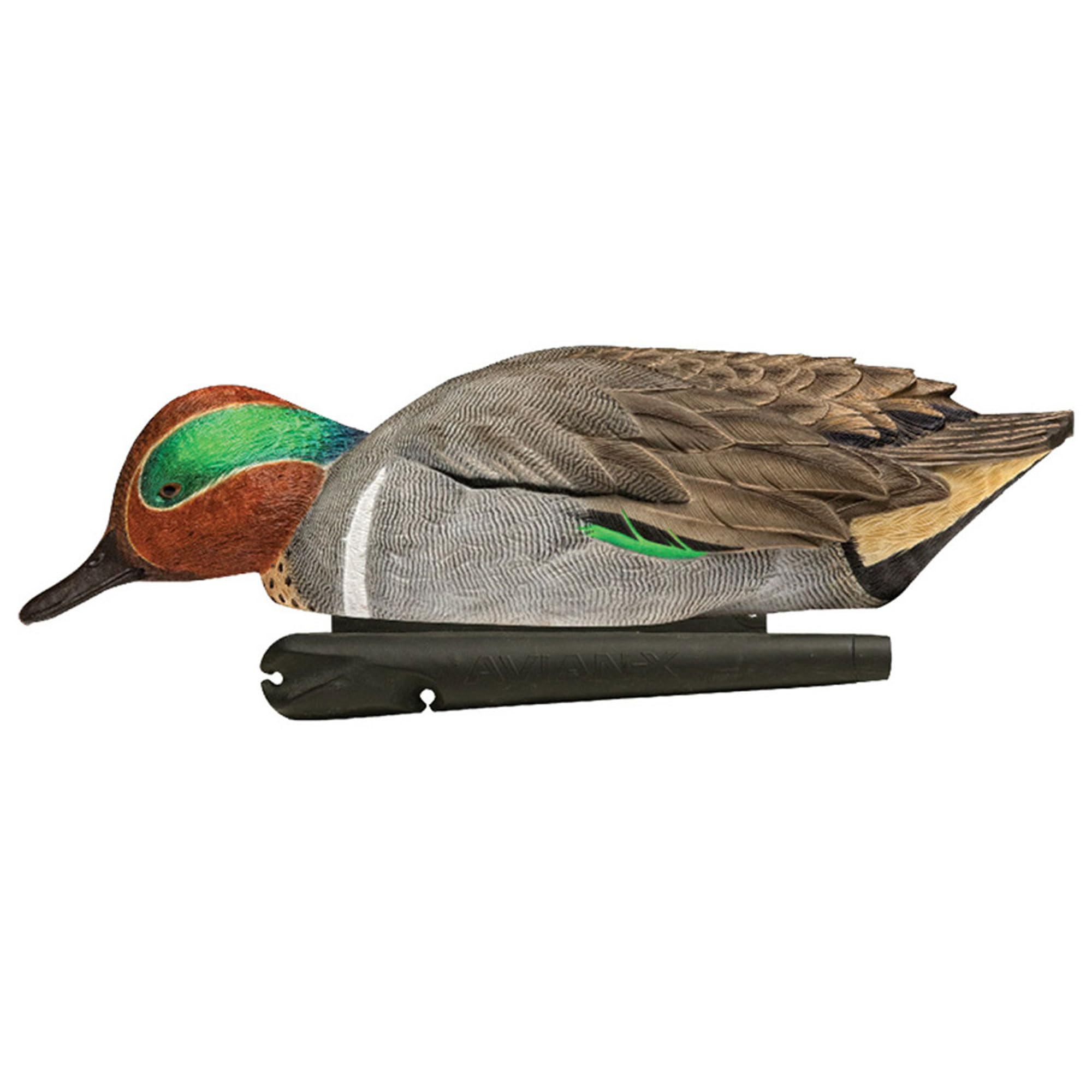 Snapklik.com : Avian X Topflight Green-Winged Teal Decoys, Realistic ...