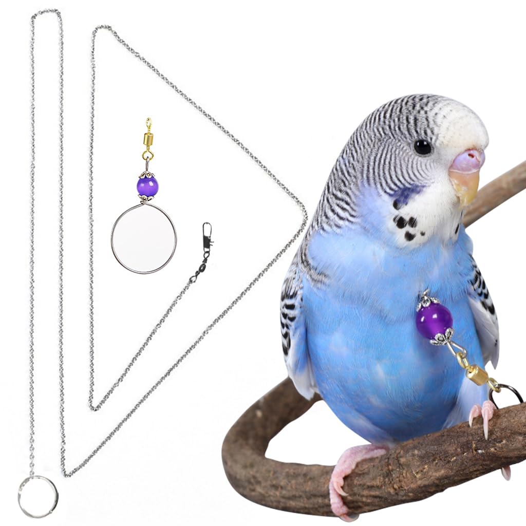 Qpets® Parrot Chain Harnesses Purple Opal Charm Neck Ring with 50cm ...